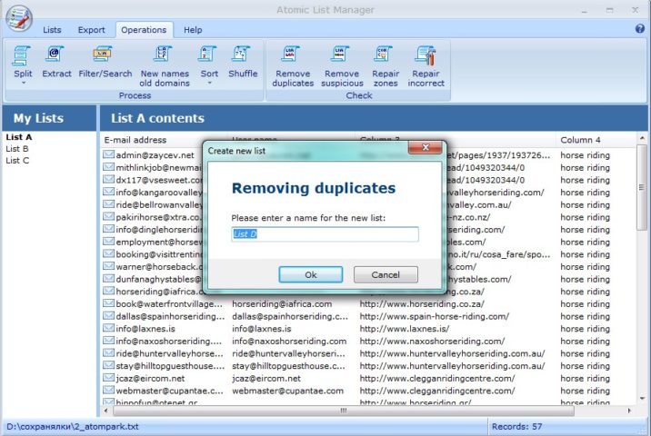 Email List Management Software — Massmail Software